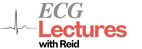 Understanding Atrial Flutter Typical And Atypical Reentry Circuits