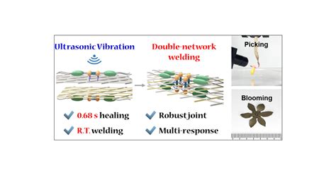 Ultrasonic Excited Ultrafast Seamless Integration Of Heterostructured Liquid Crystalline