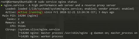 Ubuntu With Xfce Aspnet Core And Nginx Part I Hudo39s Vibe