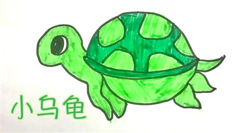 幼儿乌龟简笔画大全（精选16张） 简笔画图片大全