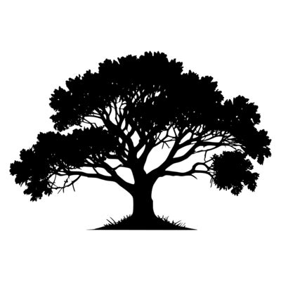 Tree Outline PNGs For Free Download