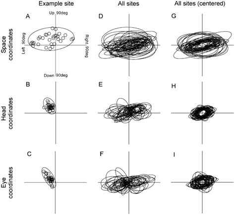 Gaze Convergence In Different Frames Across Sites A C Trajectories