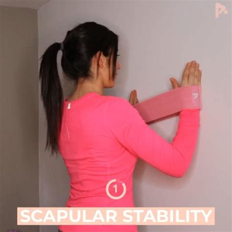 Scapular Stability Artofit