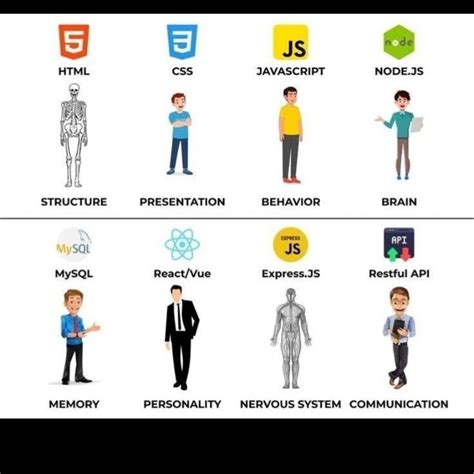 Ayesha Seemab On Linkedin Webdeveloper Continuousgrowth Passionforinnovation