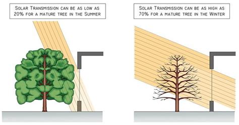 Vegetative Shading For Sustainable Architecture