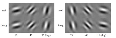 DTCWT In Pytorch Wavelets Pytorch Wavelets Documentation