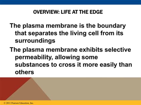Cell Membrane Structure Function Week 5 Ppt