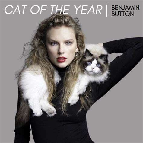 Benjamin Button Is Cat Of The Year Lovecats World