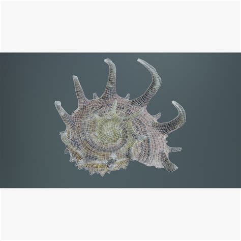 Angaria Delphinus Melanacantha 3d Model Download Arthropod On