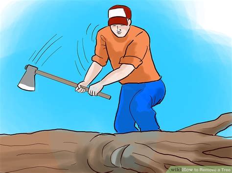 How To Remove A Tree 13 Steps With Pictures WikiHow