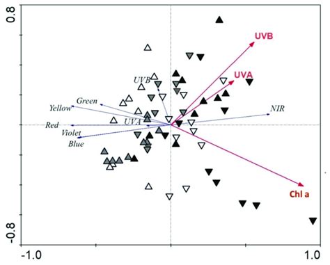 Redundancy Analysis Plot Showing The Strength Of The Associations Download Scientific Diagram