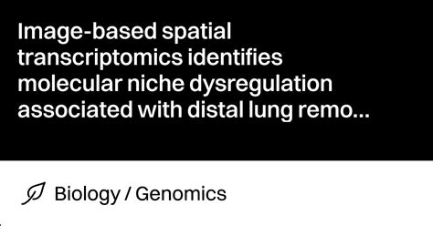 Image Based Spatial Transcriptomics Identifies Molecular Niche Dysregulation Associated With