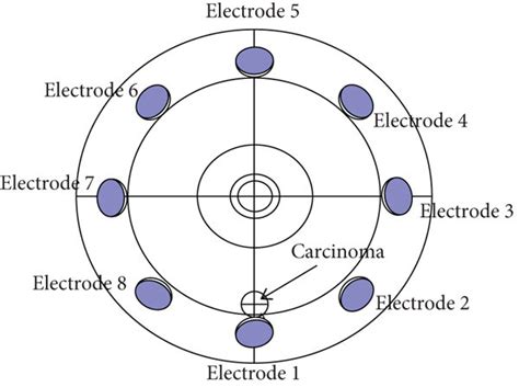 Geometric Distribution And Numbering Of Electrodes A Front View B