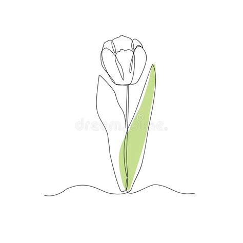A Flower Drawn With A Continuous Line Minimalist Contour Drawing Stock Illustration