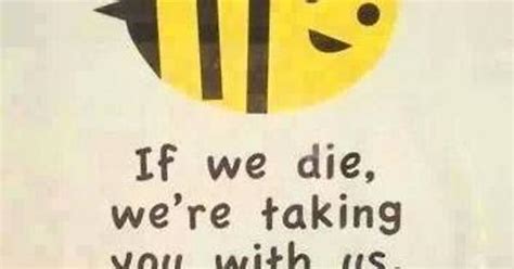 ha ha said the bee imgur