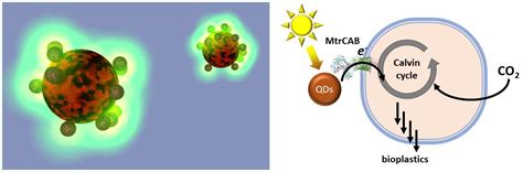 Jalal Soltani Posted On Linkedin