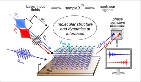 Nonlinear Interfacial Spectroscopy Research Group Martin Thämer