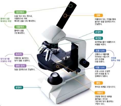 실험 4 현미경 관찰법 네이버 블로그