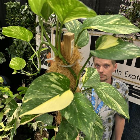 The Plant Vault The Plant Vault Added A New Photo