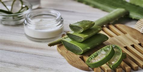 Propiedades Del Aloe Vera Para La Salud Noticias
