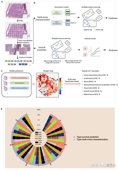 基于公开数据病理组学研究竟然发到nature大刊 知乎