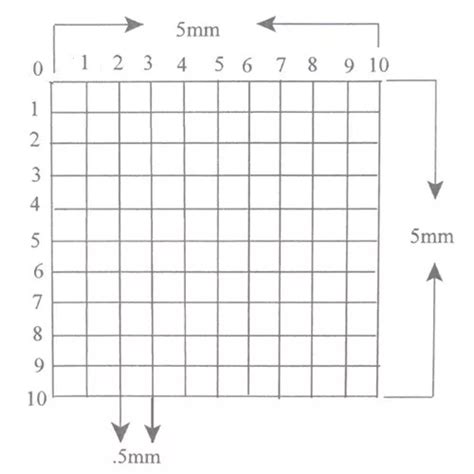 Coordinate Plane 10x10