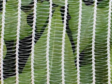 100 Hdpe Anti Hail Net Coated 1 Mm At ₹ 20 Square Meter In Vapi Id