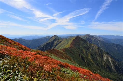 群馬 水上温泉郷谷川温泉 旅館たにがわ公式サイト 水上温泉郷 谷川温泉 旅館たにがわ