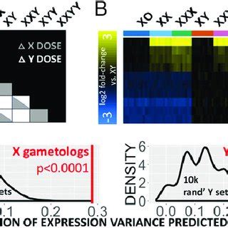 Consistent Gene Expression Changes With Altered Sex Chromosome Dosage Download Scientific
