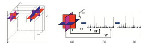 Left Three Plane In Spatio Temporal Domain To Extract Neighbouring