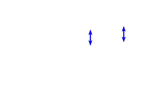 Periodontium 7 Digital Histology