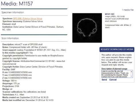Downloading Files Shared With Restricted Access For Media Files That Download Scientific