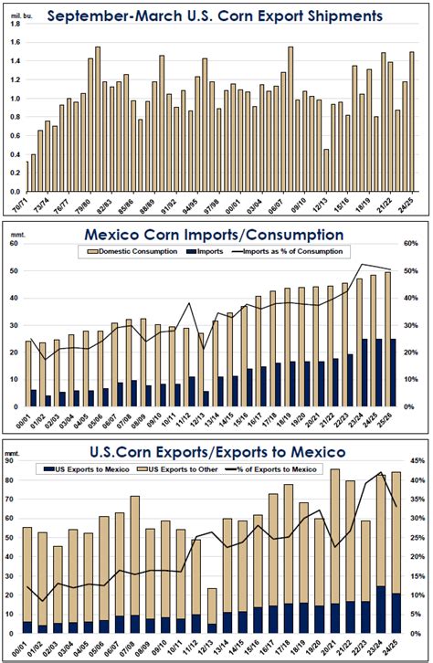 Corn Export Review The Brock Report