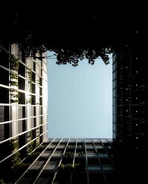 Silk Development • Silk Development • სილქ დეველოპმენტი