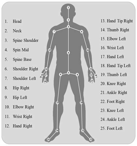 Par Net An Enhanced Dual Stream Cnn Esn Architecture For Human Physical Activity Recognition