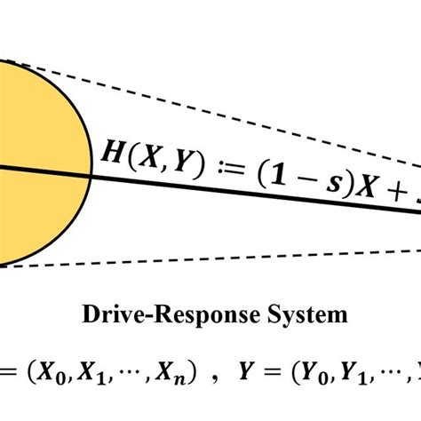 The Schematic Diagram For Complete Synchronization In A Discrete Time Download Scientific