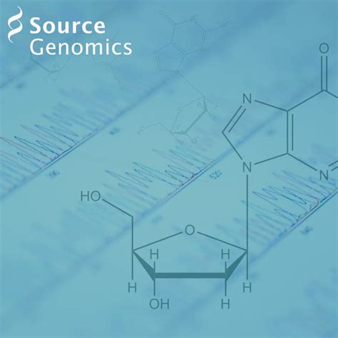 Ngs V Sanger Sequencing Source Genomics