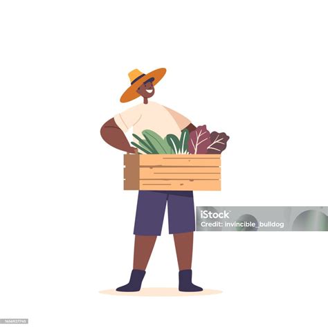 즐거운 어린이 농부는 신선한 채소로 가득 찬 상자를 들고 있습니다 열정을 발산하는 흑인 소년 캐릭터 농부에 대한 스톡 벡터 아트 및 기타 이미지 Istock