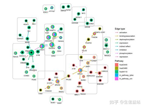 玩转kegg 八 ——ggkegg比较与可视化多个通路的多个富集结果 知乎