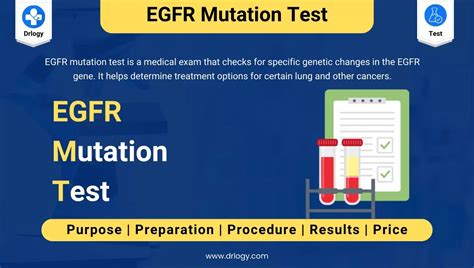 Egfr Mutation Test Price Purpose And Normal Results Drlogy