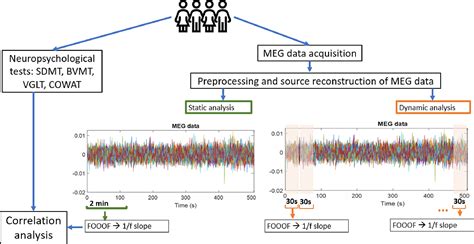 Human Brain Mapping Neuroimaging Journal Wiley Online Library
