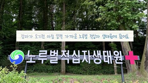 즐거운편 노루벌 적십자 생태원에 다녀왔어요 🌿🌳 In대전 Youtube