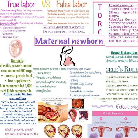 Maternal Newborn Notes Etsy Nursing Notes Nursing School Survival