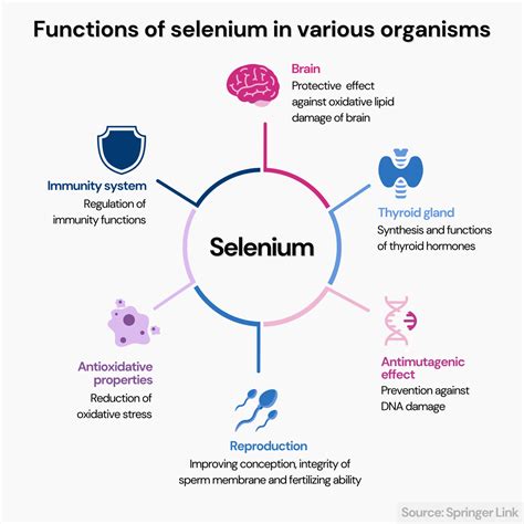Selenium Benefits For Women Top 7 According To Science