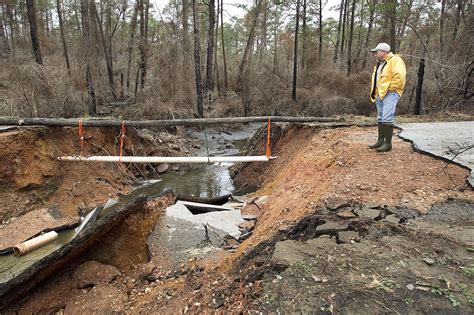 Washington Values Endangered Toad Higher Than Bastrop Fires Human