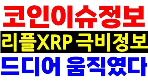 리플 Xrp 엑스알피 고래 지갑분석 아무도 모르는 정보 6월 항상 조심해야되는 이유 엑스알피 리플코인 리플전망 리플