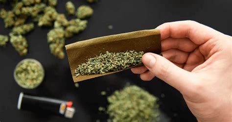 How To Roll A Joint For Beginners Step By Step BCWD
