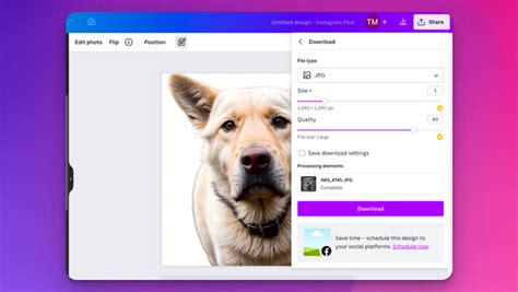How To Remove Background In Canva