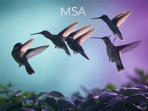 Understanding The Four Stages Of Multiple System Atrophy Msa With De Ccf Coleen Cunningham