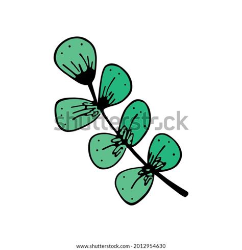Isolated Sketch Tree Leaves Vector Illustration Stock Vector Royalty Free